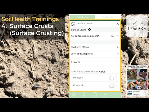 1.4: Soil Health Assessment Part II- Infiltration, Surface Crusts, Soil ...